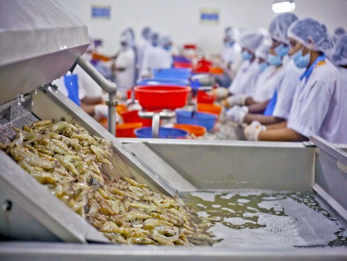 Home – Choice Group